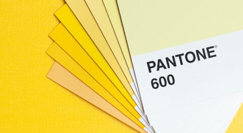 What Is Pantone and When Should It Be Used? - Huckleberry Branding